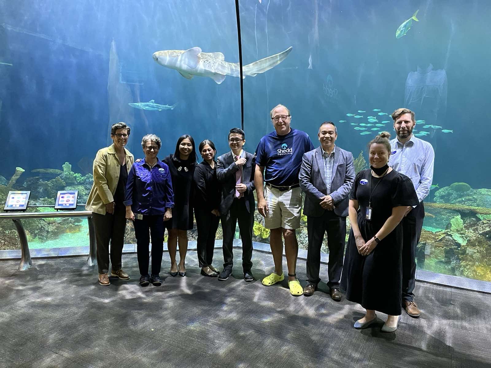 Shedd Aquarium Animals